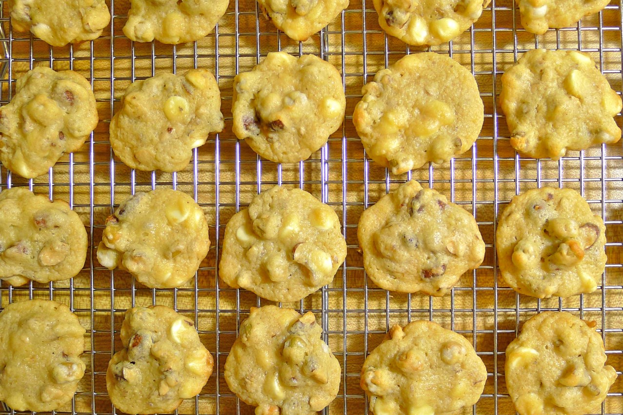 Miso Awesome Cookies – coolcookstyle
