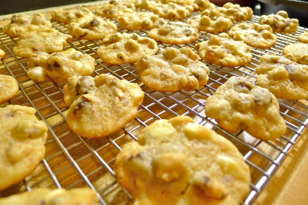 Miso Awesome Cookies – coolcookstyle