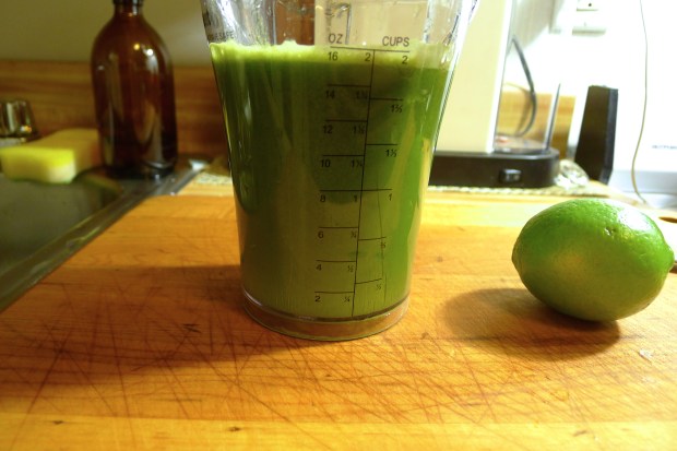 Homemade Basil Limeade – coolcookstyle
